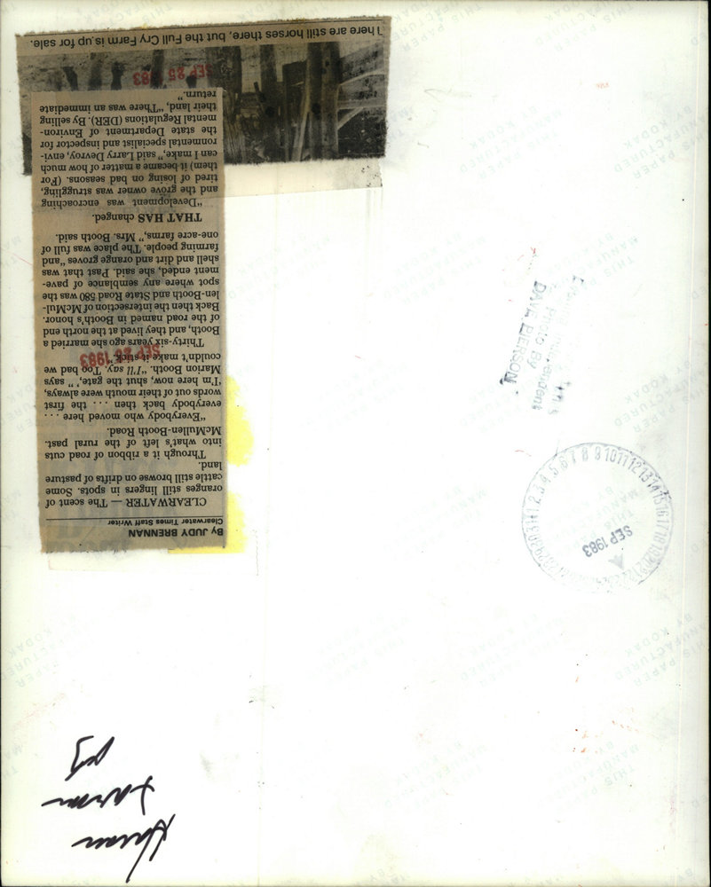 1983 Horse at Full Cry Farm - Historic Images